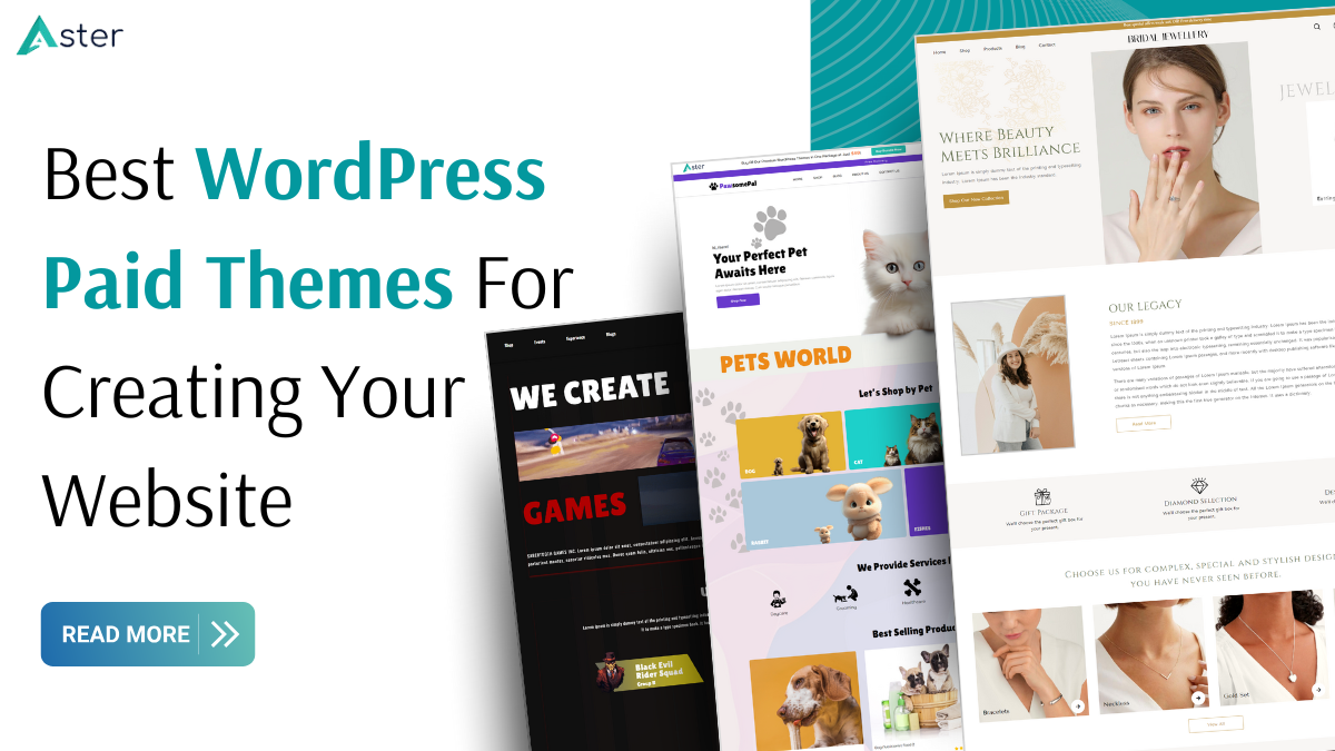 Best WordPress Paid Themes For Creating Your Website – asterthemes